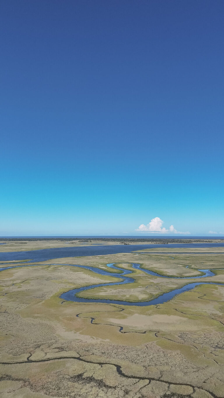 emily ann + will | maggiehughesevents.com