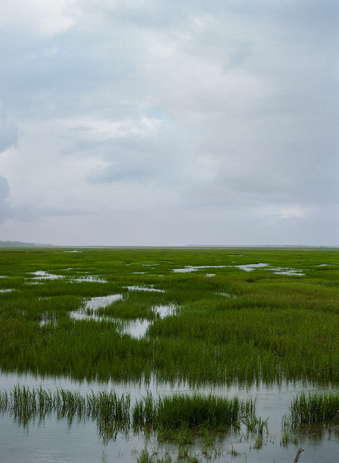 isabelle + chandler | maggiehughesevents.com